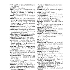 Webster's American English Dictionary, New Edition