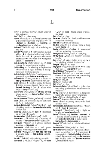 Webster's American English Dictionary, New Edition