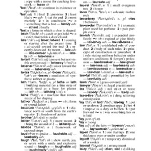 Webster's American English Dictionary, New Edition