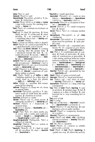 Webster's American English Dictionary, New Edition