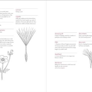 A Botanist's Vocabulary: 1300 Terms Explained and Illustrated (Science for Gardeners)