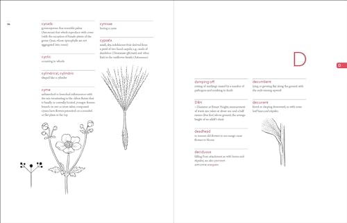 A Botanist's Vocabulary: 1300 Terms Explained and Illustrated (Science for Gardeners)