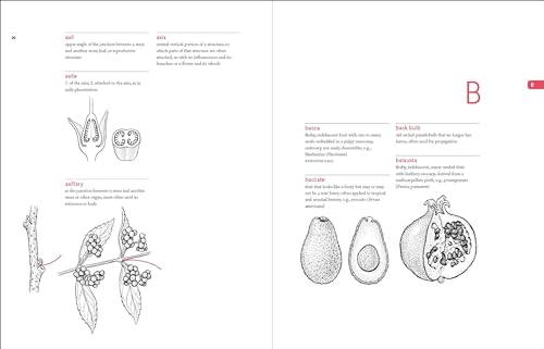 A Botanist's Vocabulary: 1300 Terms Explained and Illustrated (Science for Gardeners)