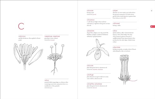 A Botanist's Vocabulary: 1300 Terms Explained and Illustrated (Science for Gardeners)