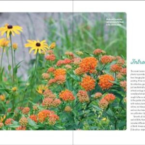 Deer-Resistant Native Plants for the Northeast