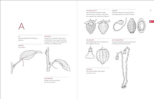 A Botanist's Vocabulary: 1300 Terms Explained and Illustrated (Science for Gardeners)