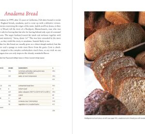 The Bread Baker's Apprentice, 15th Anniversary Edition: Mastering the Art of Extraordinary Bread [A Baking Book]