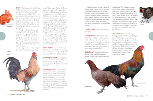 The Chicken Encyclopedia: An Illustrated Reference