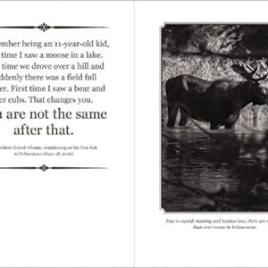 The Yellowstone National Park Signature Notebook: An Inspiring Notebook for Curious Minds (The Signature Notebook Series)