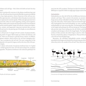 Teaming with Fungi: The Organic Grower's Guide to Mycorrhizae (Science for Gardeners)