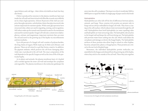 Teaming with Fungi: The Organic Grower's Guide to Mycorrhizae (Science for Gardeners)