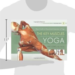 The Key Muscles of Yoga: Scientific Keys, Volume I