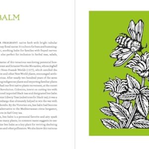 The Heirloom Gardener: Traditional Plants and Skills for the Modern World