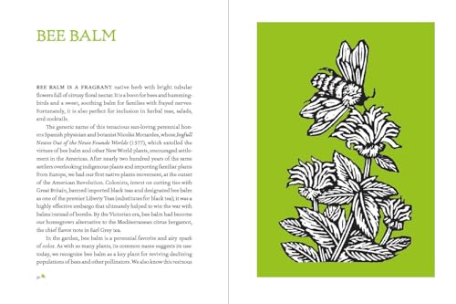 The Heirloom Gardener: Traditional Plants and Skills for the Modern World