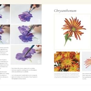 Botanical Art Techniques: A Comprehensive Guide to Watercolor, Graphite, Colored Pencil, Vellum, Pen and Ink, Egg Tempera, Oils, Printmaking, and More