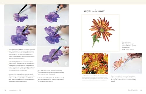 Botanical Art Techniques: A Comprehensive Guide to Watercolor, Graphite, Colored Pencil, Vellum, Pen and Ink, Egg Tempera, Oils, Printmaking, and More