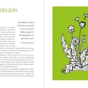 The Heirloom Gardener: Traditional Plants and Skills for the Modern World