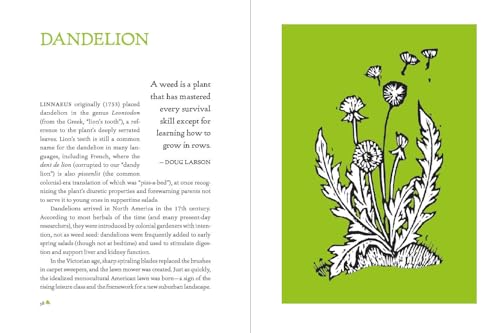 The Heirloom Gardener: Traditional Plants and Skills for the Modern World