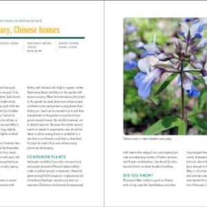 Deer-Resistant Native Plants for the Northeast