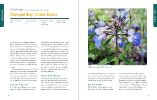 Deer-Resistant Native Plants for the Northeast