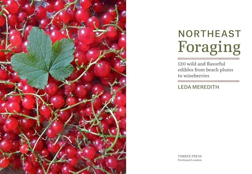 Northeast Foraging: 120 Wild and Flavorful Edibles from Beach Plums to Wineberries (Regional Foraging Series)