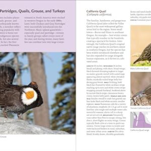 Birds of the Pacific Northwest (A Timber Press Field Guide)