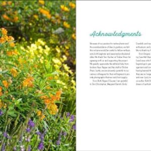 Deer-Resistant Native Plants for the Northeast