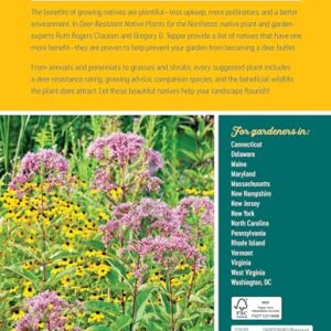 Deer-Resistant Native Plants for the Northeast