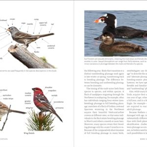 Birds of the Pacific Northwest (A Timber Press Field Guide)