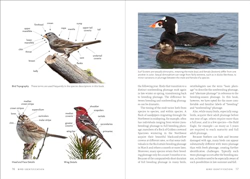 Birds of the Pacific Northwest (A Timber Press Field Guide)