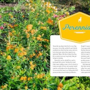 Deer-Resistant Native Plants for the Northeast