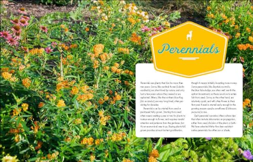 Deer-Resistant Native Plants for the Northeast