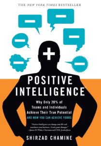 positive intelligence: why only 20% of teams and individuals achieve their true potential and how you can achieve yours