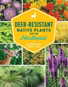 deer-resistant native plants for the northeast