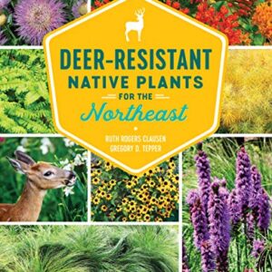 Deer-Resistant Native Plants for the Northeast