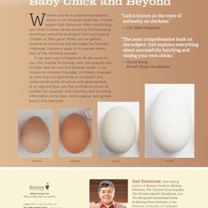 Hatching & Brooding Your Own Chicks: Chickens, Turkeys, Ducks, Geese, Guinea Fowl