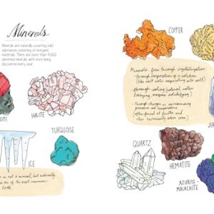 Nature Anatomy: The Curious Parts and Pieces of the Natural World