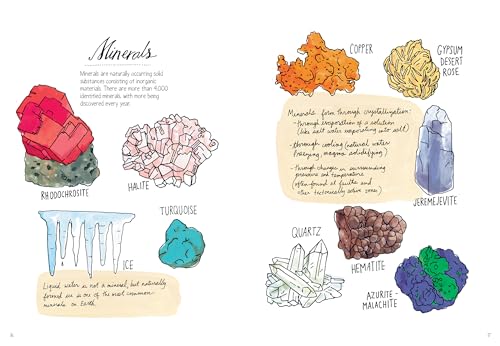 Nature Anatomy: The Curious Parts and Pieces of the Natural World