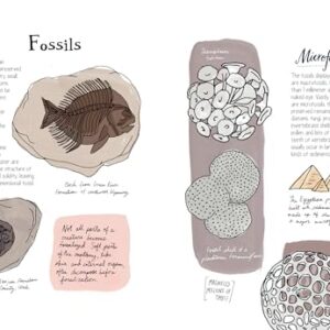 Nature Anatomy: The Curious Parts and Pieces of the Natural World