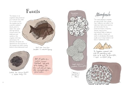 Nature Anatomy: The Curious Parts and Pieces of the Natural World