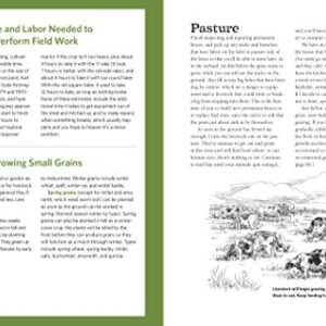 The Backyard Homestead Seasonal Planner: What to Do & When to Do It in the Garden, Orchard, Barn, Pasture & Equipment Shed