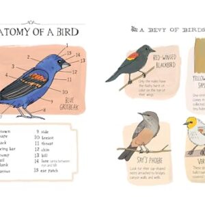 Nature Anatomy: The Curious Parts and Pieces of the Natural World