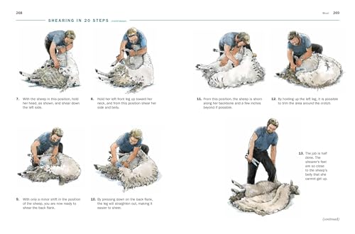 Storey's Guide to Raising Sheep, 5th Edition: Breeding, Care, Facilities