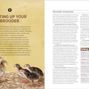 Hatching & Brooding Your Own Chicks: Chickens, Turkeys, Ducks, Geese, Guinea Fowl