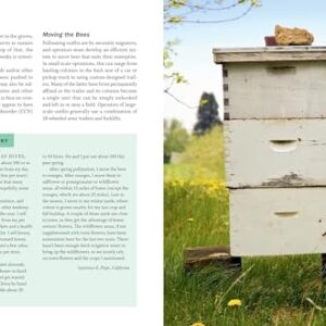 Storey's Guide to Keeping Honey Bees, 2nd Edition: Honey Production, Pollination, Health (Storey’s Guide to Raising)