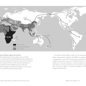 A Brief History of Everyone Who Ever Lived: The Human Story Retold Through Our Genes