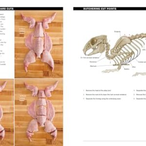 Butchering Poultry, Rabbit, Lamb, Goat, and Pork: The Comprehensive Photographic Guide to Humane Slaughtering and Butchering