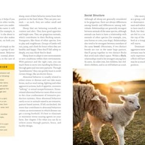 Storey's Guide to Raising Sheep, 5th Edition: Breeding, Care, Facilities