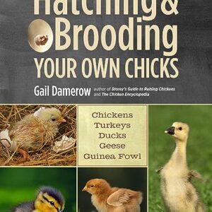 Hatching & Brooding Your Own Chicks: Chickens, Turkeys, Ducks, Geese, Guinea Fowl