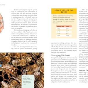 Storey's Guide to Keeping Honey Bees, 2nd Edition: Honey Production, Pollination, Health (Storey’s Guide to Raising)